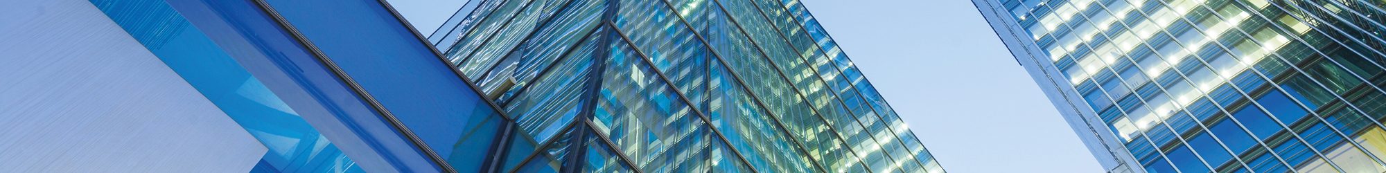 The Quantitative Developer Certificate (QDC) - World Business Strategies